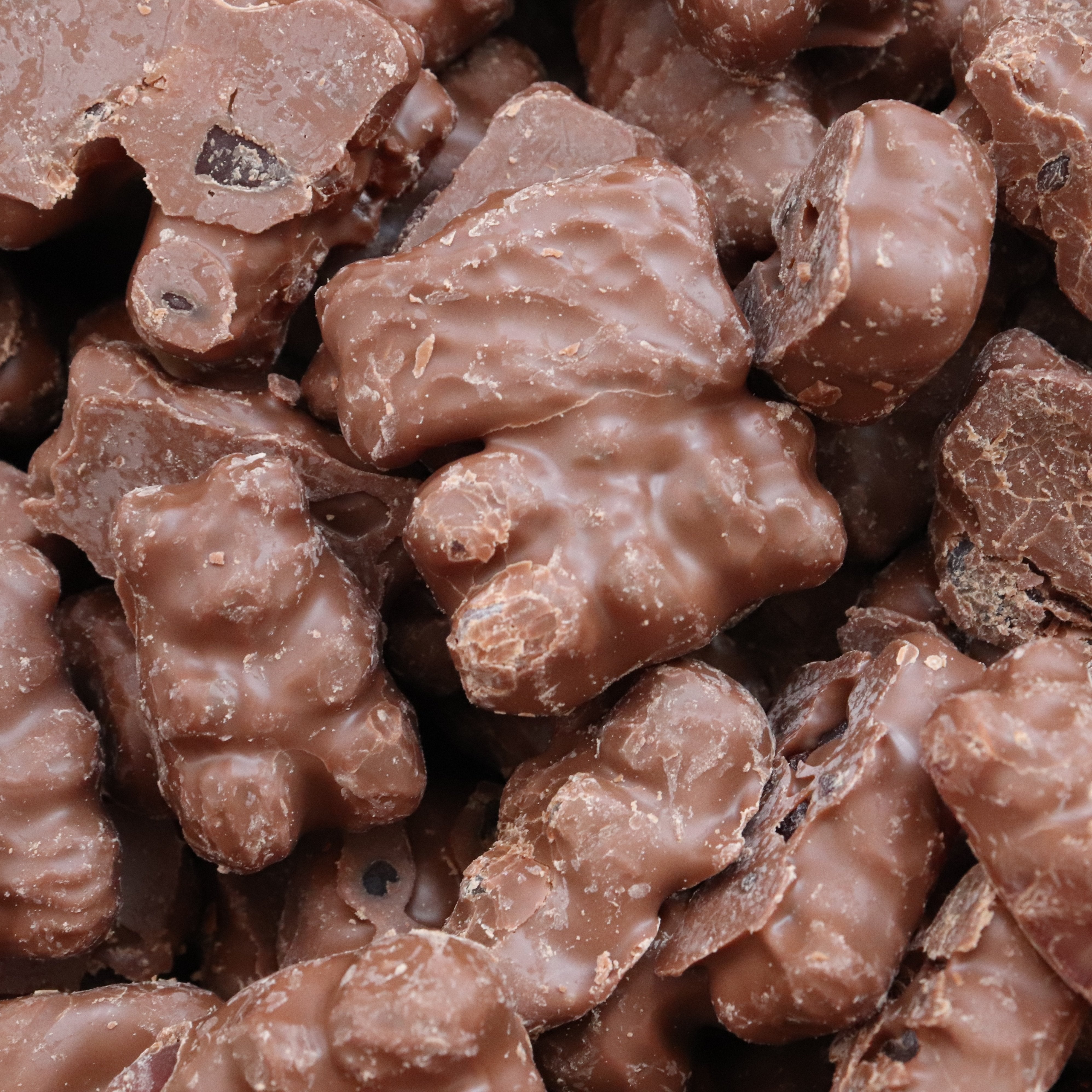 Chocolate Covered Gummy Bears Chocolate Covered Gummy Bears – The